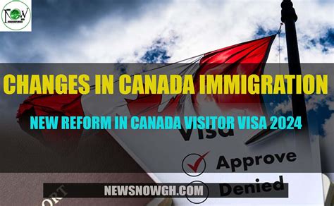 Canada Visitor Visa Success Rate 2025 Bianca Skye