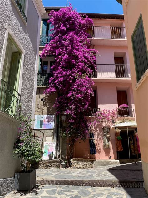 Revisiting Neural Network Approximation Theory For Generative Ai A