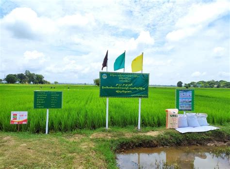 ပဲခူးတိုင်းဒေသကြီးအစိုးရအဖွဲ့ဝန်ကြီးချုပ် ဦးမျိုးဆွေဝင်းနှင့်အဖွဲ့ လက