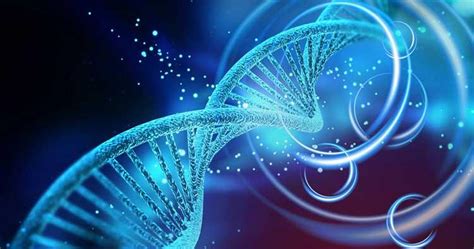 Justas Morkūnas On Linkedin Molecular Cloning Essentials Thermo