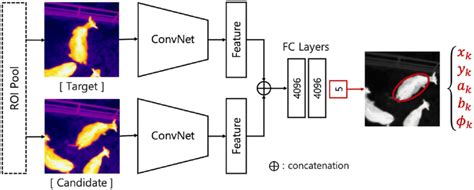 Incorporation Of The Proposed Motion Model Into The Cnn Structure
