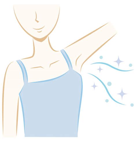 30 Apocrine Sweat Gland Illustrations Stock Illustrations Royalty