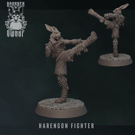 Harengon Rabbitfolk Fighter Monk Miniature Drunken Dwarf Dandd 5e