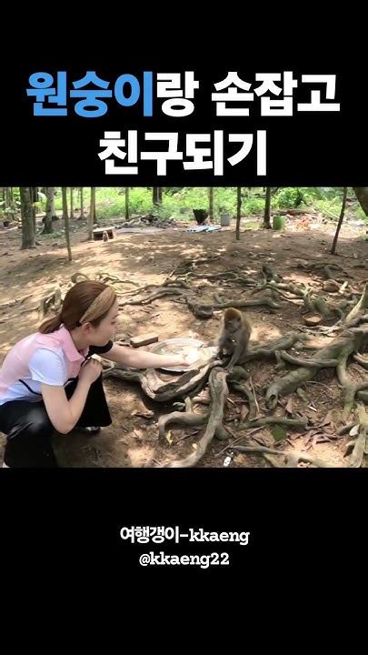 집에서 키우는 원숭이와 손 잡고 친구가 되었다 되고 싶었다인도네시아 Youtube