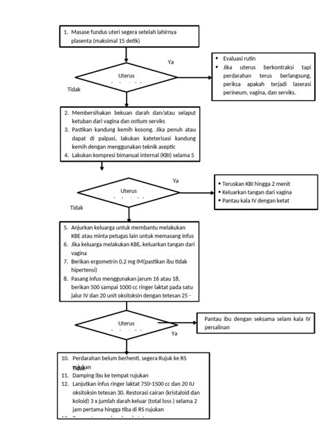 Bagan Penatalaksanaan Atonia Uteri Pdf