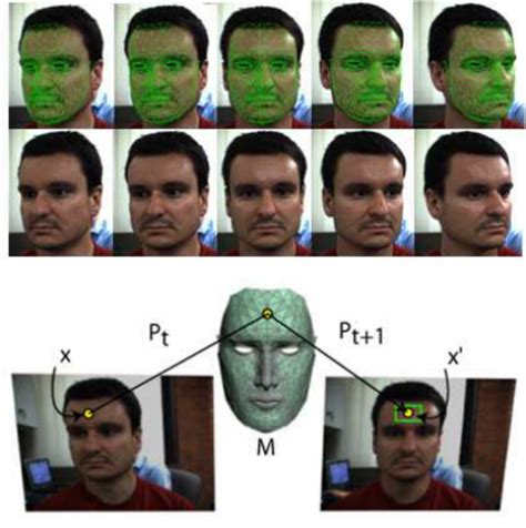 Top Model Based Face Tracking Bottom Model Assisted Feature