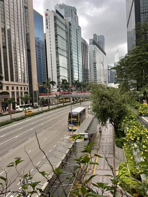 香港优才diy保姆级教程 知乎
