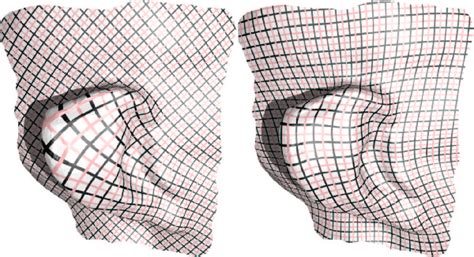 Figure 1 From An Adaptable Surface Parameterization Method Semantic Scholar