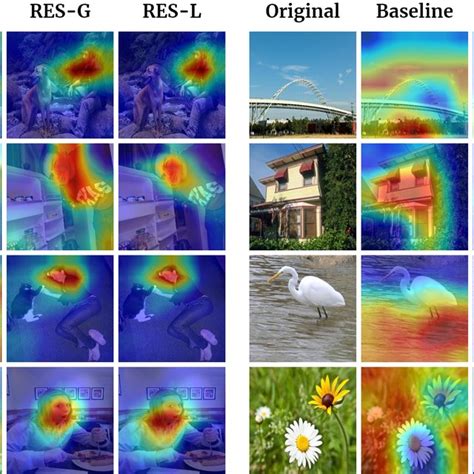 Selected Explanation Visualization Results On Gender Classification