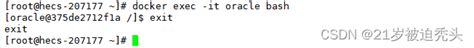 Centos7 使用docker安装oracle数据库（超详细）centos7docker安装oracle Csdn博客