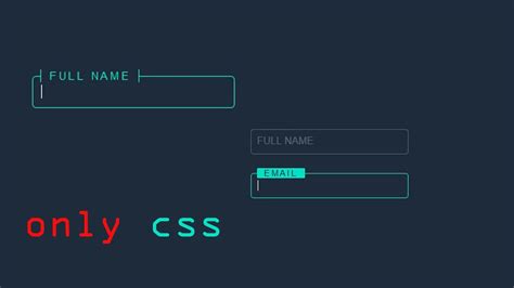 Input Field Text Css Animation Only Css Floating Label Youtube