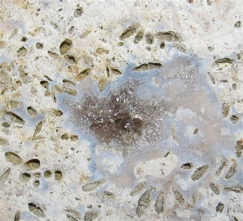 Archaeology Of Portable Rock Art A Two Sided Oolitic Chert Mammoth Sculpture Featuring A