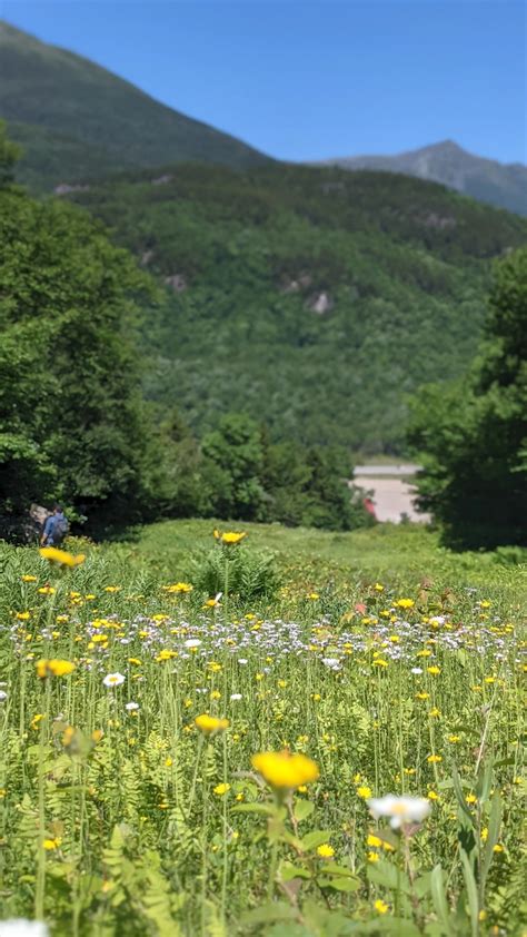 Epic Day Pass Are You Ready For A Wild Winter And Not Sure Which Pass