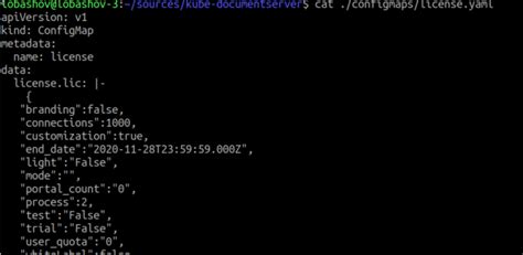 Ability To Read DocumentServer License From File Issue 2
