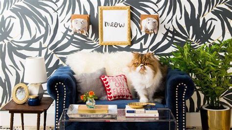 9 Creative Cat Rooms To Inspire Your Inner Designer