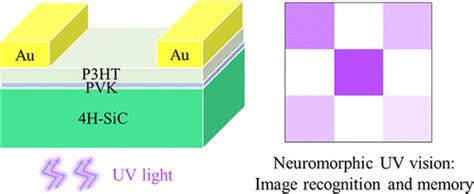 Photogated Synaptic Transistors Based On The Heterostructure Of 4h Sic