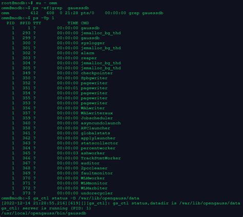 Opengauss每日一练第21天 【检查数据库运行状态、锁信息、维护表、重建索引等数据库维护操作技术】 墨天轮