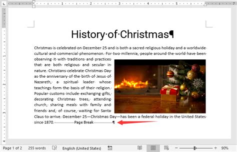 C Vb Net Insert Page Break Into Word Documents