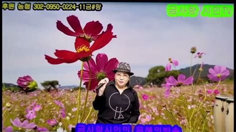 예수 믿으세요 Believe In Jesus 곡 김석균 찬양 소프라노 금사랑시인 Youtube