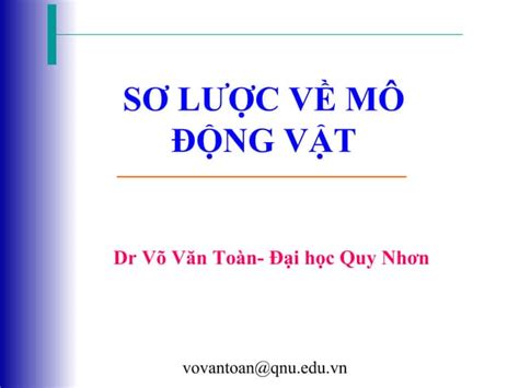 Cac Loai Mo Dong Vat Ppt