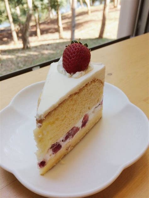 [รีวิว] ร้าน Sip And Work มหาวิทยาลัยแม่ฟ้าหลวง เมนูแนะนำ รูปภาพ ราคา