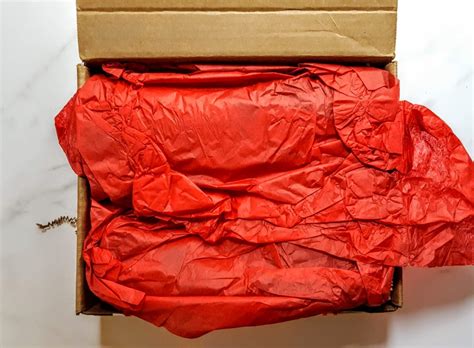 Nsfw Seductive Pleasure Subscription Box Review Unboxing June