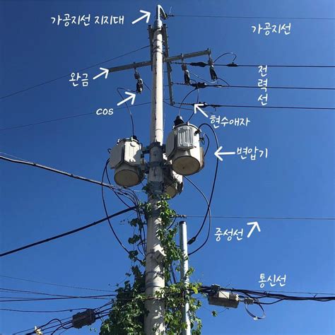 밀리터리관련에 있는 윤지현님의 핀 2025 전봇대 풍경 삽화 미적 배경