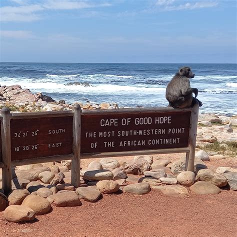 Cape Town Day Tours Cape Escape Tours