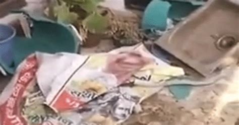 Hindu Raksha Dal Leader Arrested For Attack On Aap Office