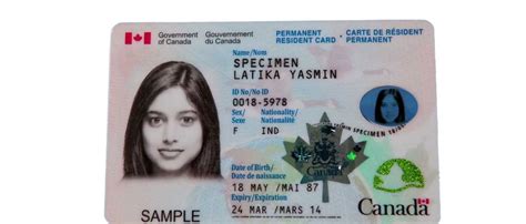 Pr Card Renewal Anytime Immigration Inc