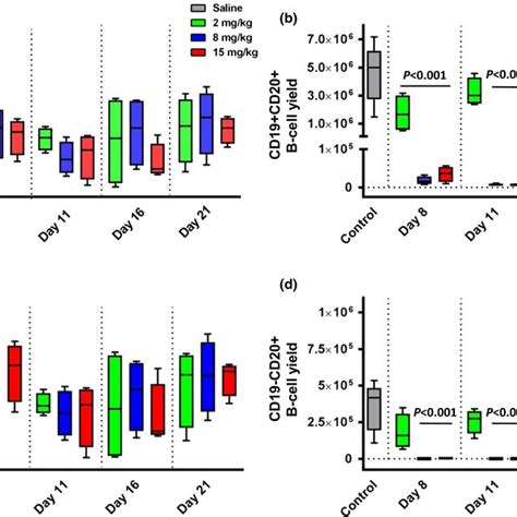 Depletion Of Cd20⁺ B‐cells In Spleen Leukocytes Were Isolated From The