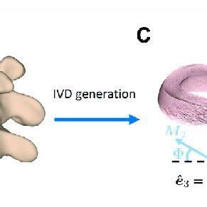 Finite Element Model Generation Of Lumbar Spine Segments A Ct Images