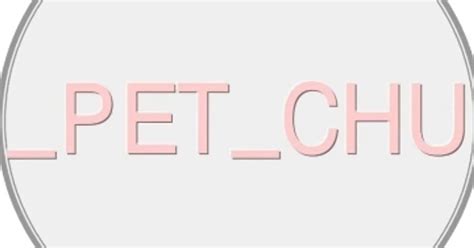 이서아 고수의 펫 미용 서비스 경기 부천시 숨고 숨은고수