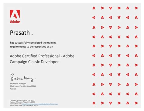 Prasath Vellingiri On Linkedin Adobe Adobecampaign Certification Certifiedprofessional Orion