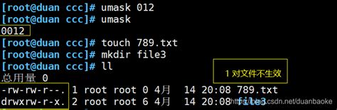 Linux目录操作 Ls、cd、du命令与 Chmod、chown、umask命令umask 000 Csdn博客