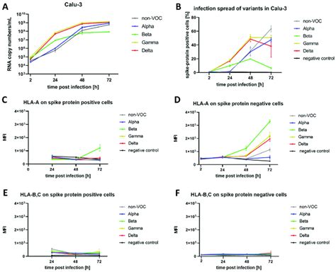 Time Course Of Spike Protein Hla A And Hla B C Expression Levels Download Scientific Diagram