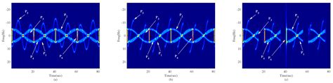 Transformer Architecture For Micromotion Target Detection Based On