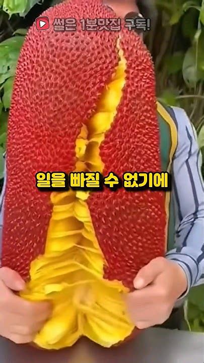 아내가 집을 떠났다 Youtube