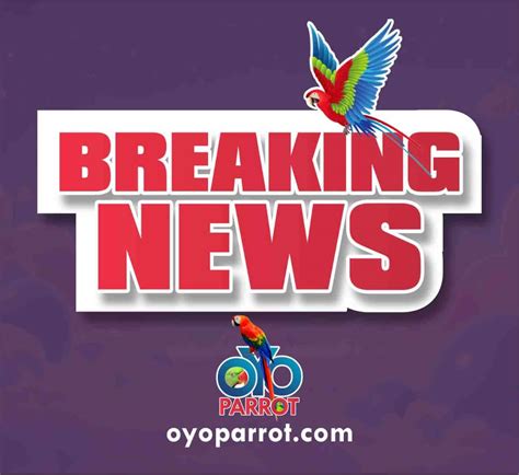Breaking Makinde Resumes Office Announces Fresh Appointments Oyo Parrot