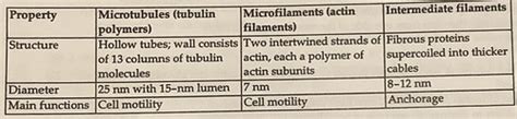 Unit Practice Problems Flashcards Quizlet