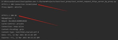 Python3 socket通过代理访问web服务实现 诸子流 博客园