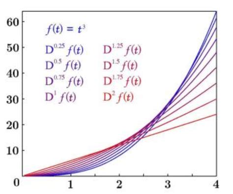 Efficient Evaluation Of Fractional Derivatives Institut Für
