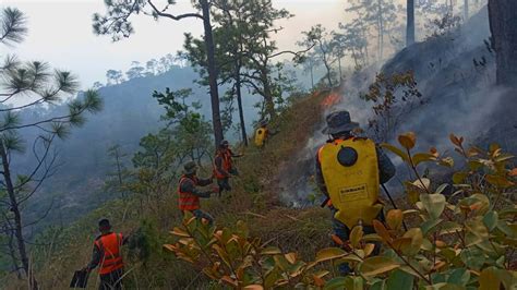 Ejército Intensifica Lucha Contra Incendios Forestales En Guatemala