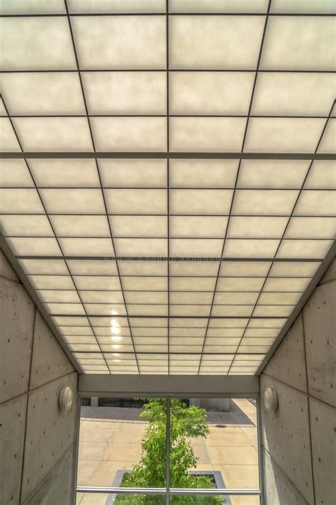 Slanted Frosted Glass Roof Over Glass Wall With View Of Trees And Sunny