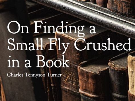 The Complete Cambridge Poetry Bundle Caie Igcse Vol 1 Part 4 2023 25 Teaching Resources