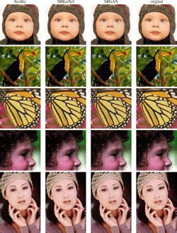 PDF Photo Realistic Single Image Super Resolution Using A Generative Adversarial Network