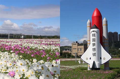 2022 桃園花彩節「這天」浪漫開跑！7 米高太空火箭超吸睛 繽紛花海 夜間光雕秀必拍 上報 Line Today