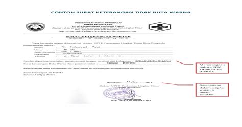 Detail Surat Keterangan Tidak Buta Warna Koleksi Nomer 25