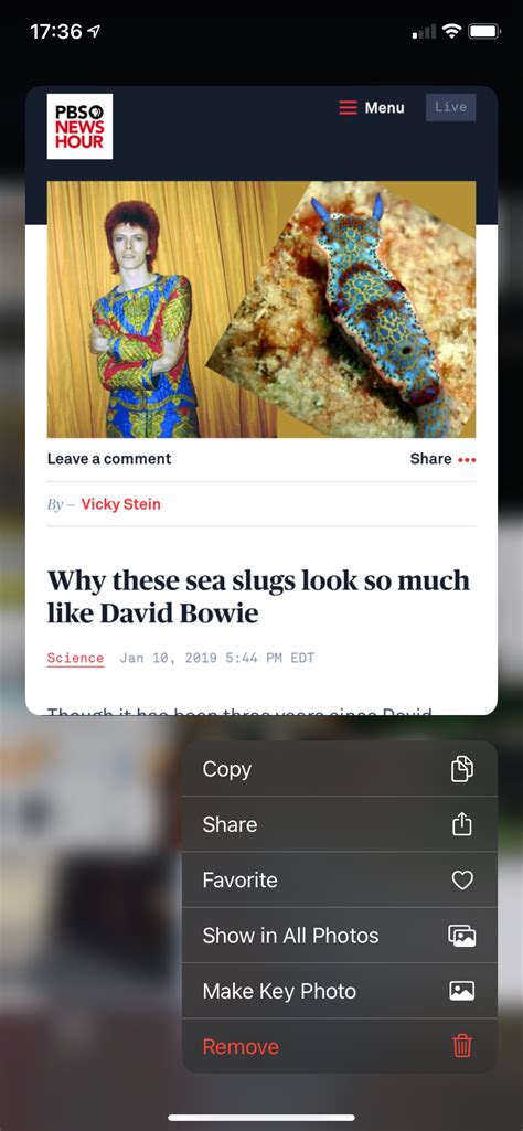 How To Recover Deleted Photos From WhatsApp
