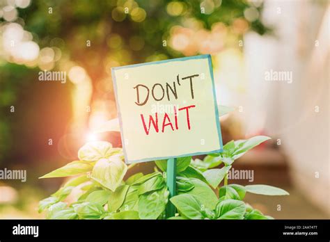 Conceptual Hand Writing Showing Act Now Concept Meaning Fulfil The Function Or Serve The